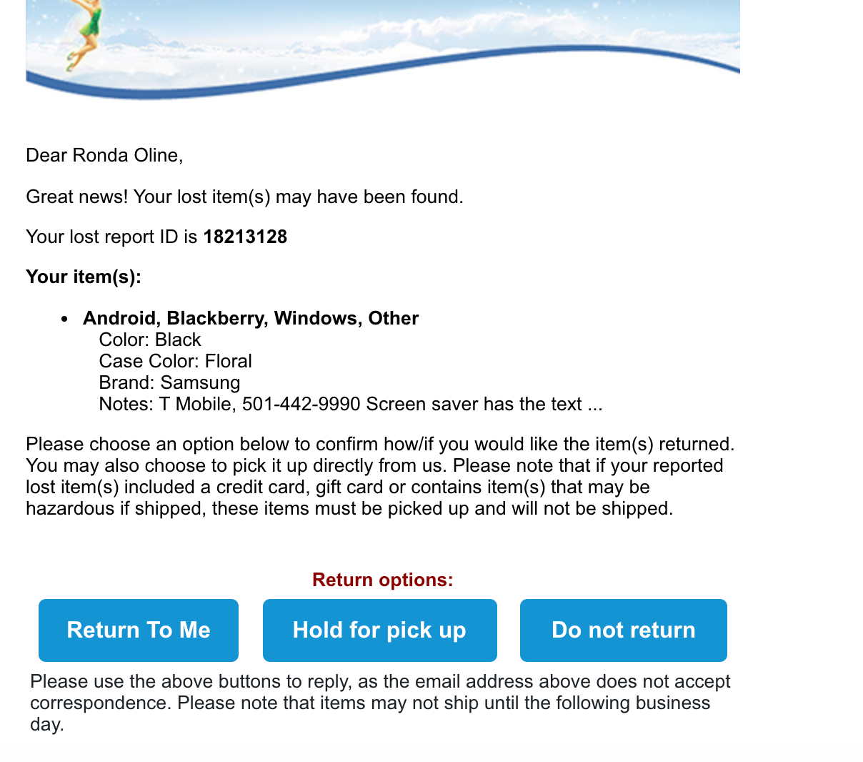 Disney World Lost and Found - Small World Big Fun